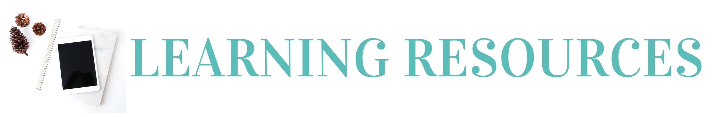 THE ULTIMATE RESOURCE LIBRARY (11) - The She Approach