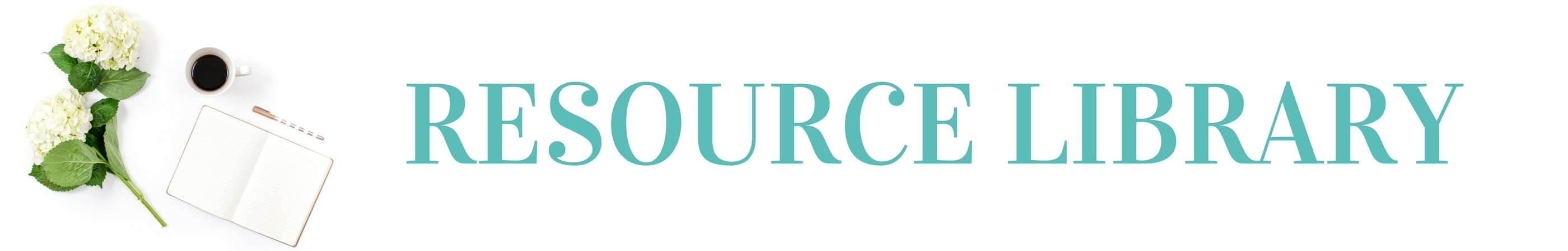 THE ULTIMATE RESOURCE LIBRARY (2) - The She Approach