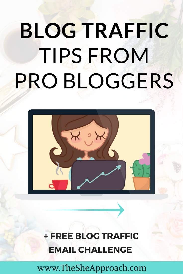 Best Blog Traffic Tips From Pro Bloggers - The She Approach