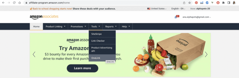 How To Set Up Amazon One Link - Tutorial For Affiliates - The She Approach