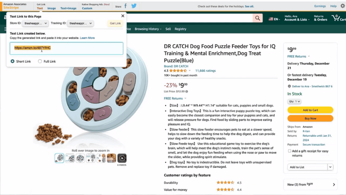 Amazon SiteStripe Images Fix & How To Update Old Affiliate Code - The ...
